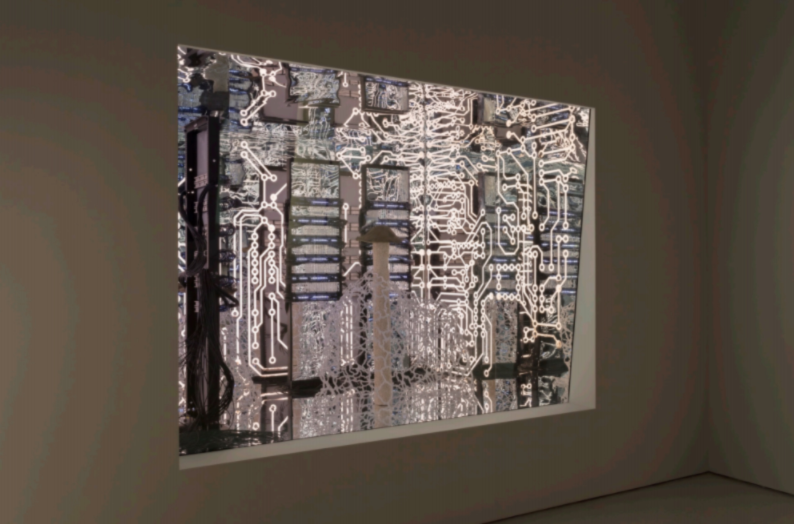 Living Content 22. Interview with Anicka Yi.